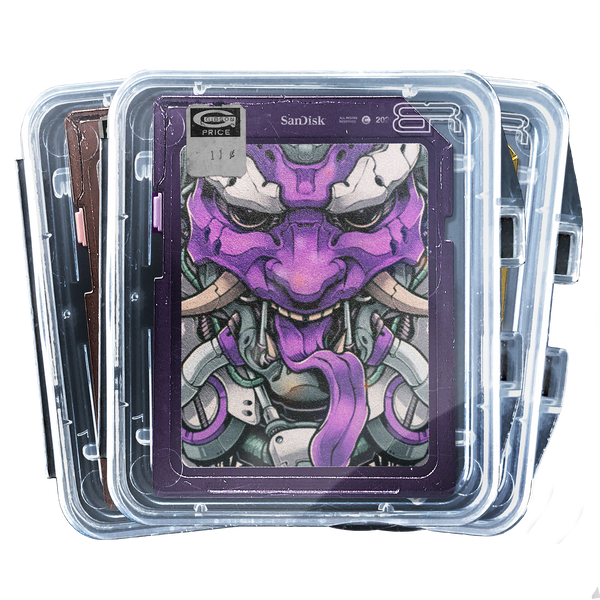 "VEGAPUNK" RC-20 Bundle – Wavplant